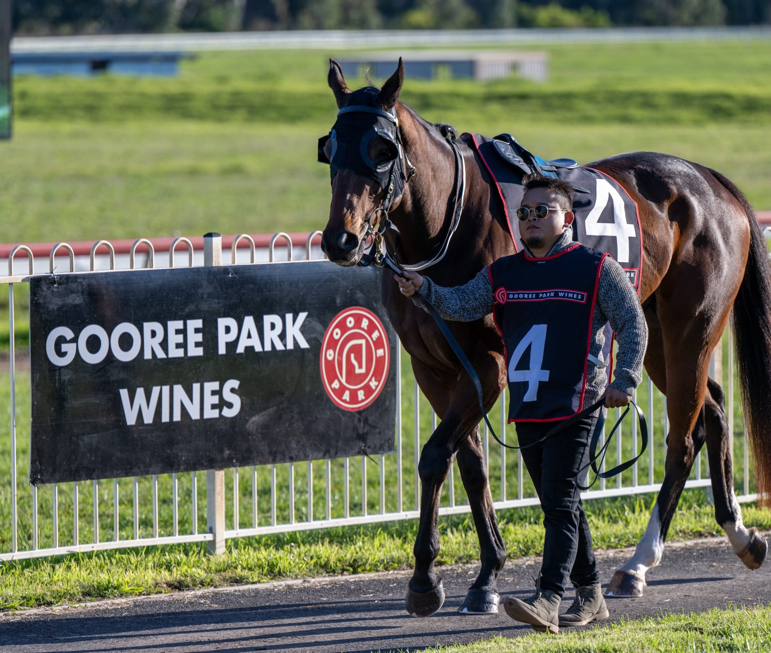 Horses - Gooree Park